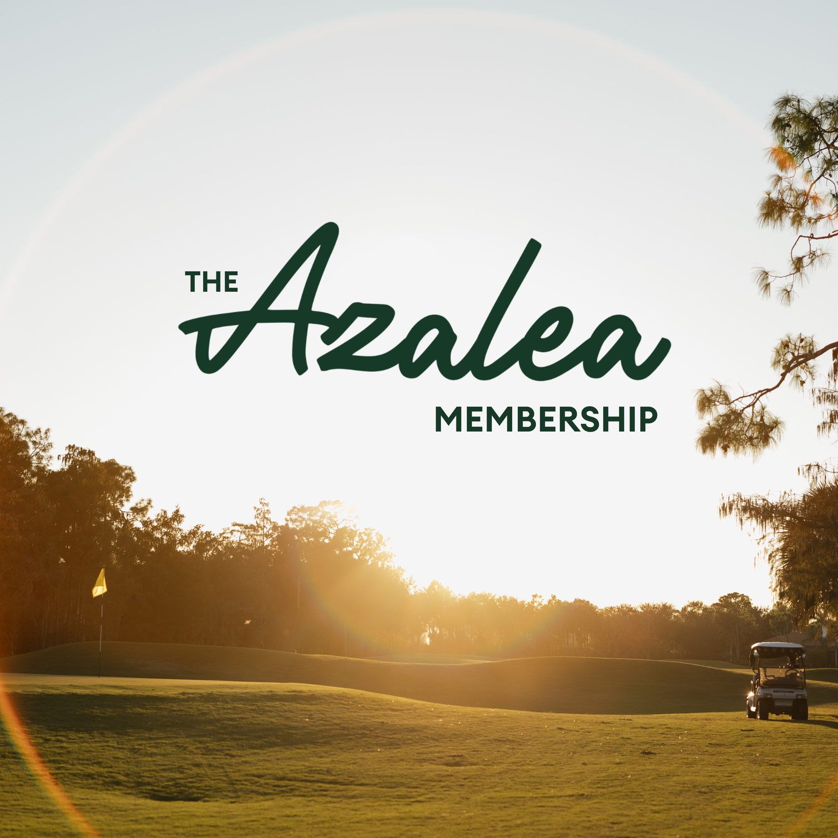 Membership – The Azalea Golf Club